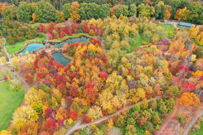20 years of North America at the Forest Park Tharandt–a unique living ...